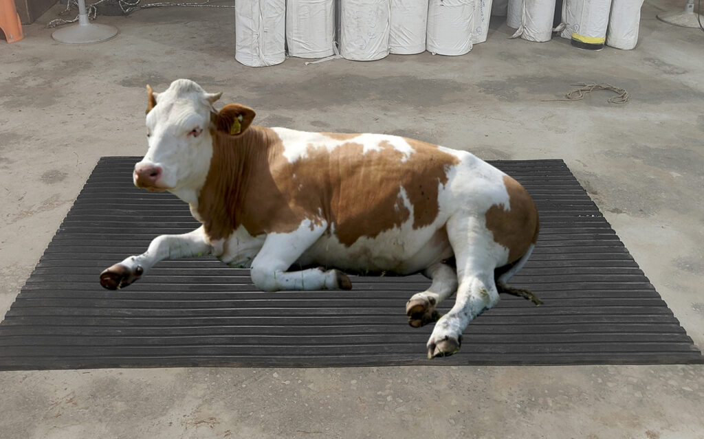 Cow Mat – Kantech Rubber Industries